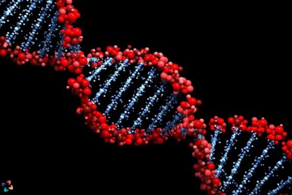 5 Major Areas Of Biotechnology | The Lifesciences Magazine