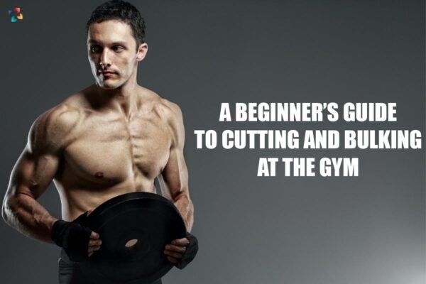 A Best Beginner's Guide To Cutting And Bulking At The Gym 2023 | The ...