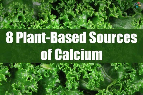 Best 8 Plant-Based Sources Of Calcium | The Lifesciences Magazine