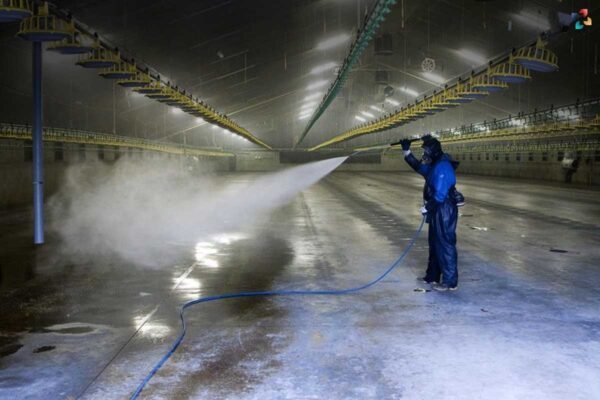 5 Great Hygiene Protocols At Poultry Farms | The Lifesciences Magazine