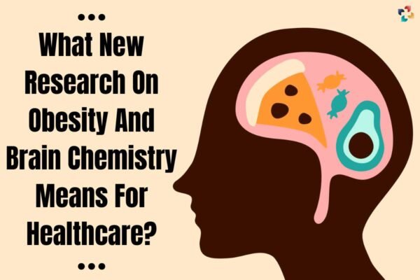 What New Research On Obesity And Brain Chemistry Means For Healthcare ...