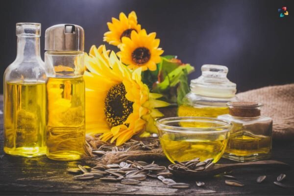 Cooking Oil: 12 Types Of Cooking Oils & How To Choose The Right Oil ...