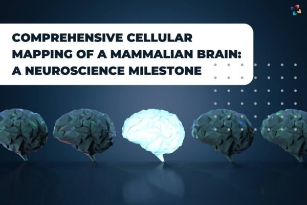 Comprehensive Cellular Mapping Of A Mammalian Brain: A Neuroscience ...