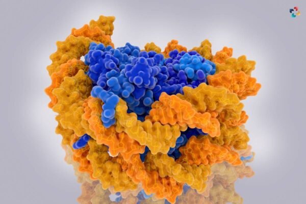 What Are Histones? An Overview | The Lifesciences Magazine