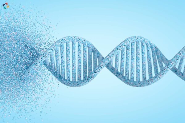 Genetic Disorders: Foundation, Types, Impact & More | The Lifesciences ...