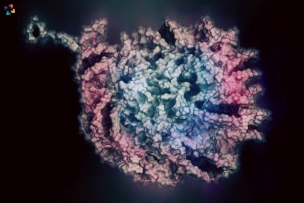 What Are Histones? An Overview | The Lifesciences Magazine