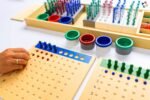 Detail Understanding Of Copy Number Variation (CNV) | The Lifesciences ...