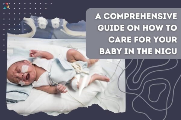 Biophysical Profile (BPP): Components, Significance, Interpretation ...