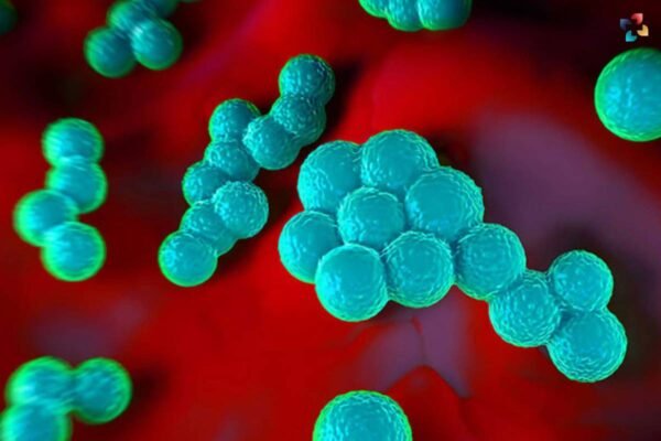 Toxic Shock Syndrome: Causes, Symptoms, And Treatment | The ...
