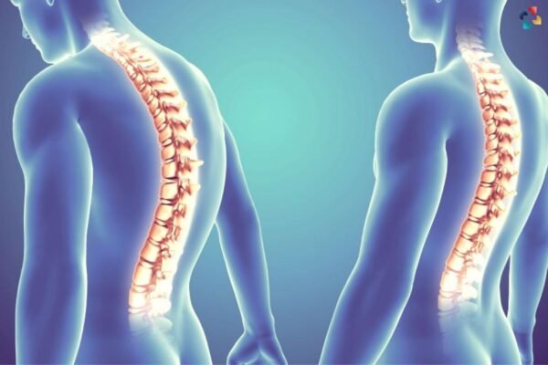 Thoracic Vertebrae: Anatomy, Function, And Common Disorders | The ...