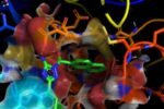 Applied Biosystems: Products, Technologies, Future Innovations, Impact ...