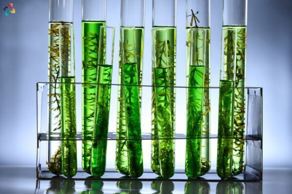 Ethanol Biofuel: Benefits, Challenges, Innovations, And Opportunities ...