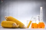 Ethanol Biofuel: Benefits, Challenges, Innovations, And Opportunities ...