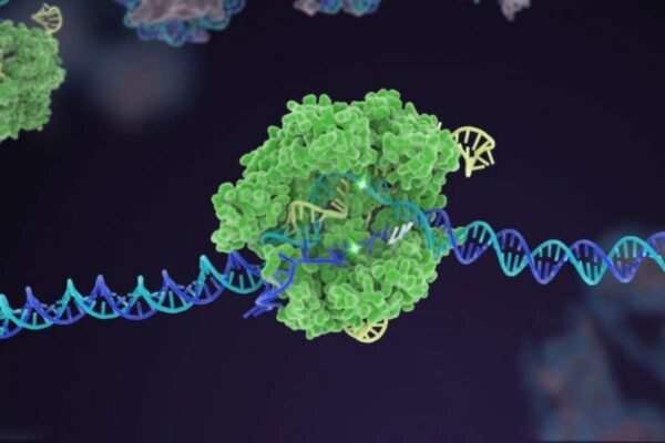 Top 10 Molecular Biology Research Topics: You Should Know | The ...