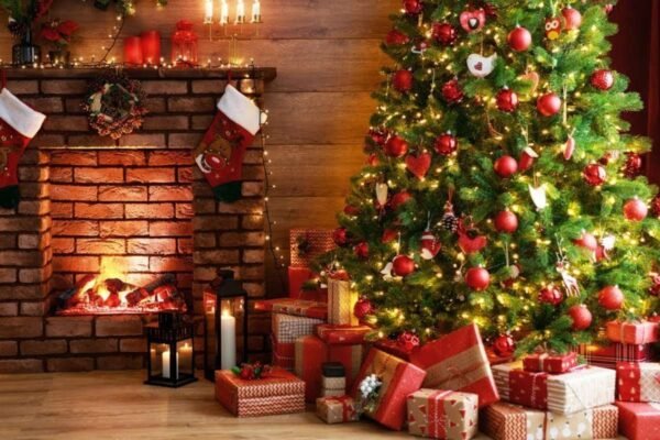 12 Heartfelt Reasons Why We Celebrate Christmas? | The Lifesciences ...