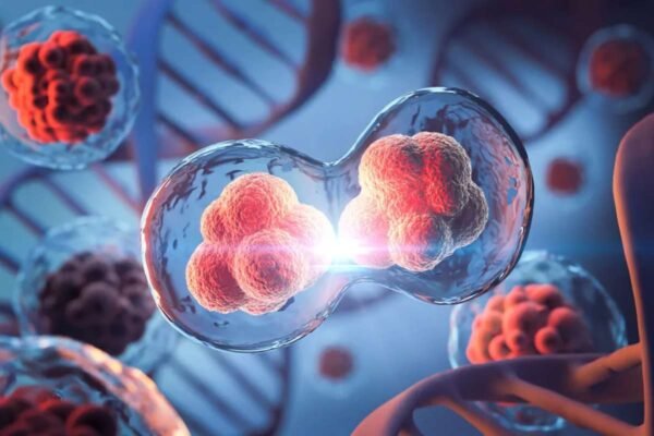 Genomics Vs Genetics: Mystery Of Life’s Blueprint | The Lifesciences ...