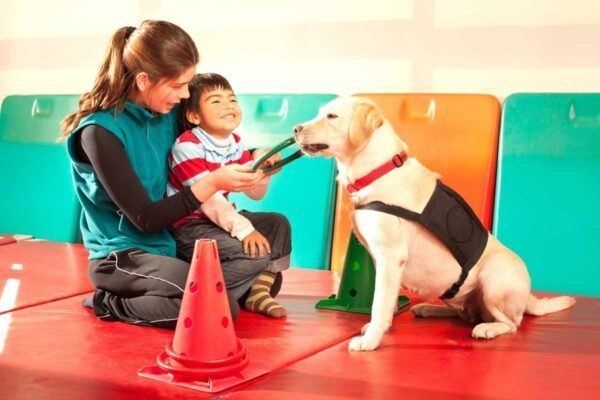 Can Animals Have Autism? Myth Or Reality? | The Lifesciences Magazine