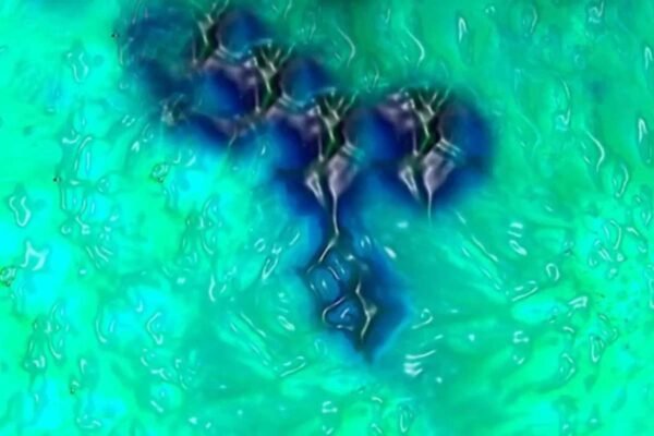 The New Color Olo: What Scientists Are Saying About This Unseen Hue ...