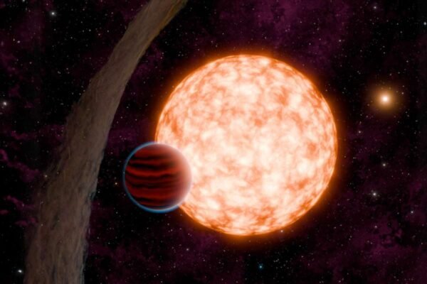 Human Cell Atlas Paves The Way For Precision Medicine And Ethical ...