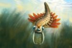 Mosura Fentoni: Three-Eyed Sea Predator That Changed Our View Of ...