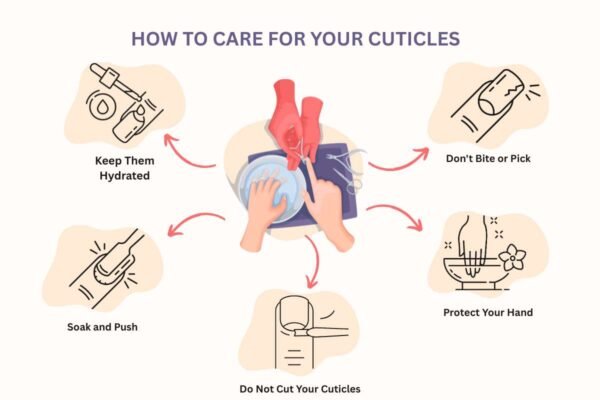 What Are Cuticles And How To Pamper Them Like A Pro? | The Lifesciences ...