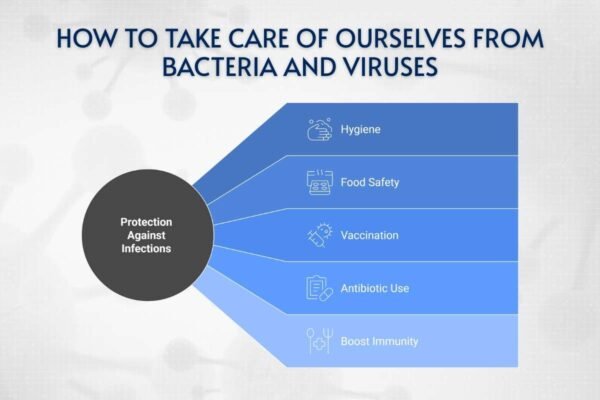 Difference Between Bacteria And Viruses Explained | The Lifesciences ...