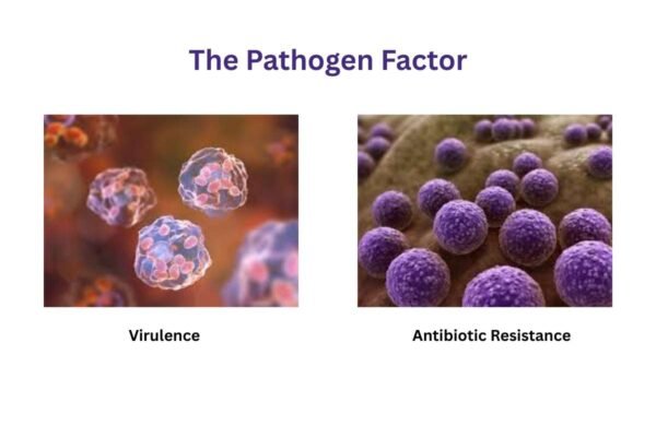 Common Bacterial Diseases & How To Treat Them | The Lifesciences Magazine