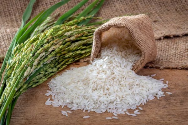 Jasmine Rice Vs White Rice: Surprising Key Differences | The ...