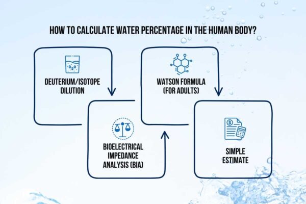 Average Percentage Of Water In The Human Body Revealed | The ...
