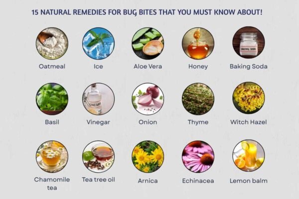 Natural Remedies For Bug Bites That Actually Bring Relief | The ...